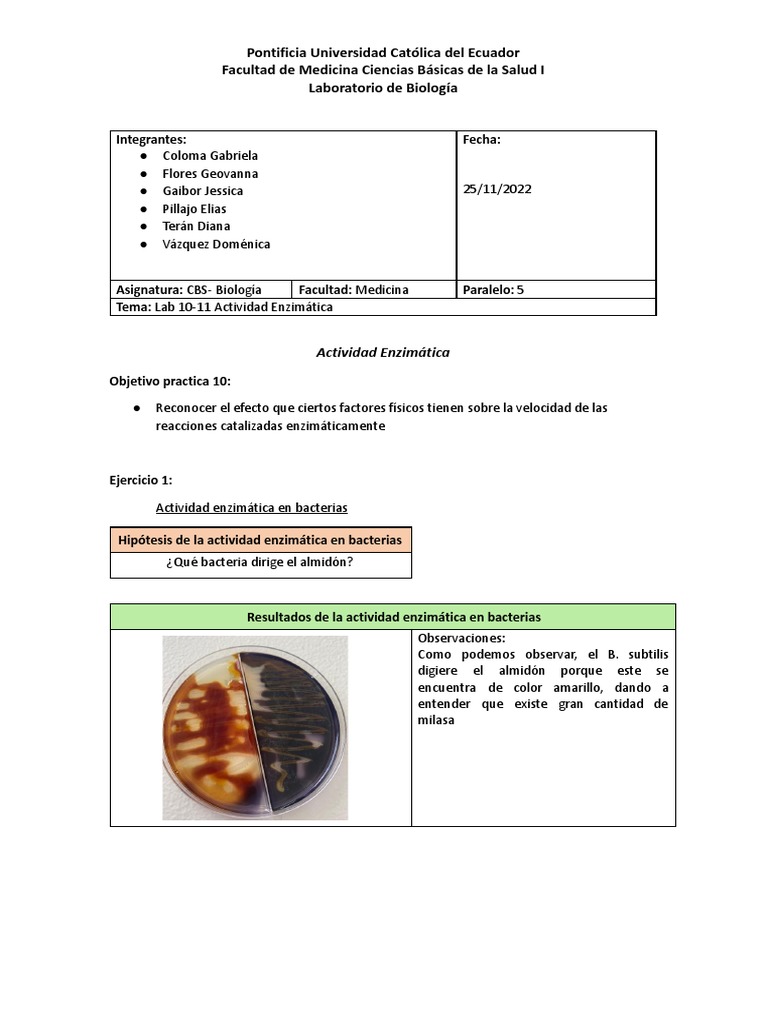 LAB 10-11 Actividad Enzimática | PDF | Enzima | Catalasa