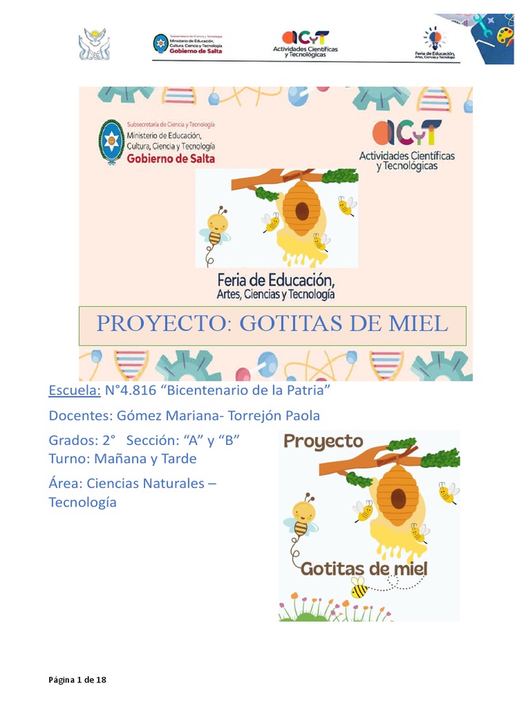 Proyecto Feria de Ciencias 2do Grado 2023 | PDF | Abejas | Colmena
