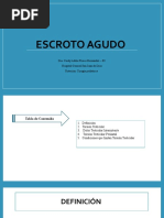 Anatomía del Escroto y Testículos | PDF | Testículo | Especialidades ...