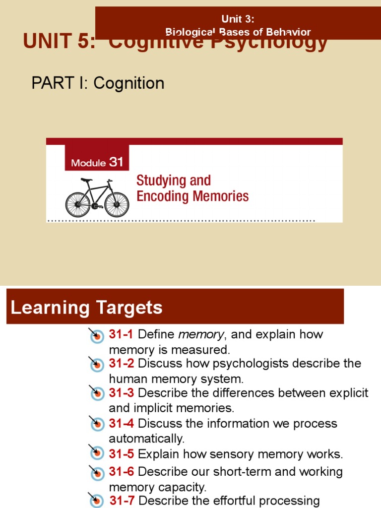 Understanding Human Memory Systems | PDF | Memory | Recall (Memory)