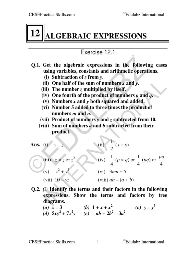 ALgrebraic Expressions - 1 | PDF