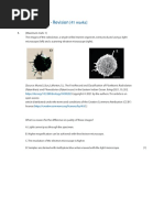 Magnification Worksheet | PDF | Units Of Measurement | Teaching Mathematics