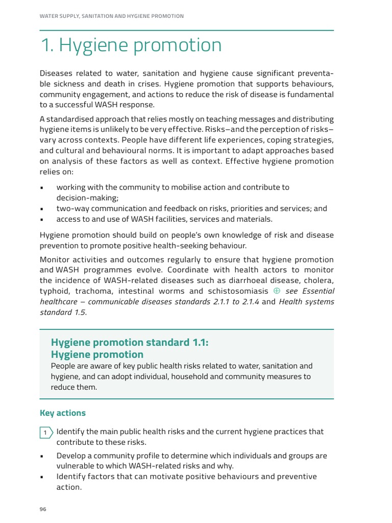 Hygiene Promotion | PDF