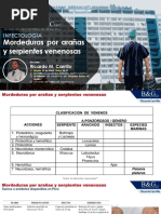 CAPÍTULO 17 - Prurigo Por Insectos (Cimiciasis) | PDF | Insecticida ...