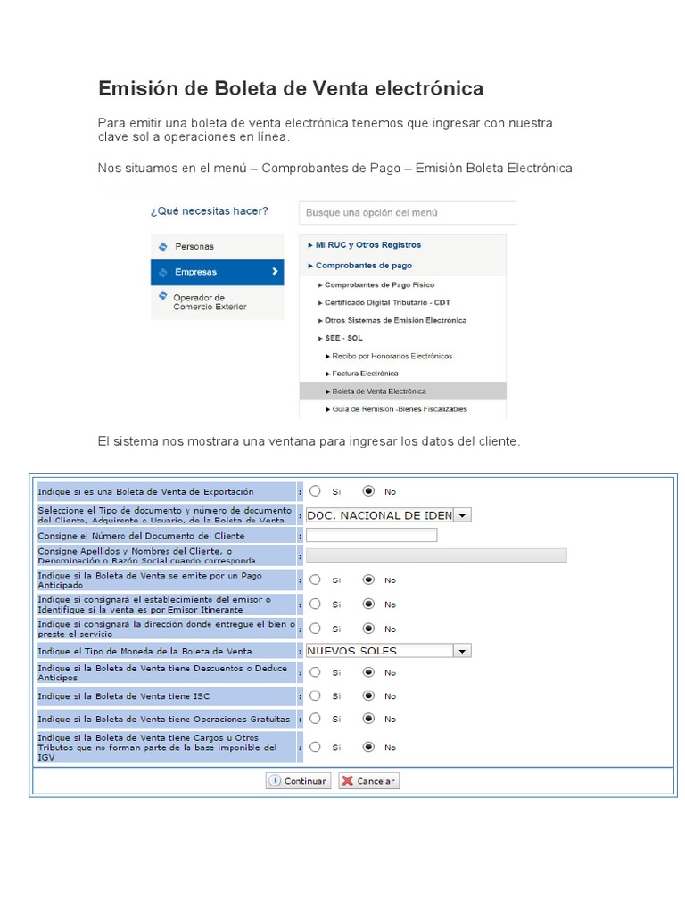 Manual Emisión de Boleta de Venta Electrónica | PDF