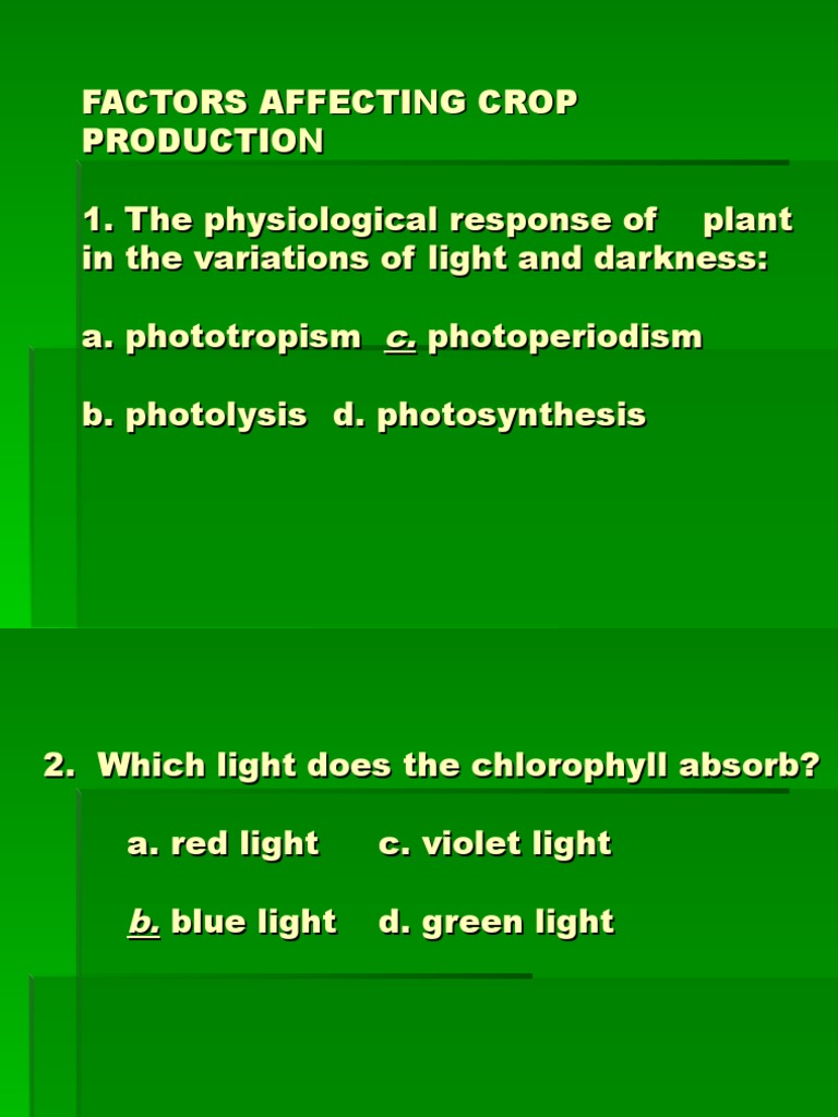 Factors Affecting Crop Production | PDF | Photosynthesis | Leaf