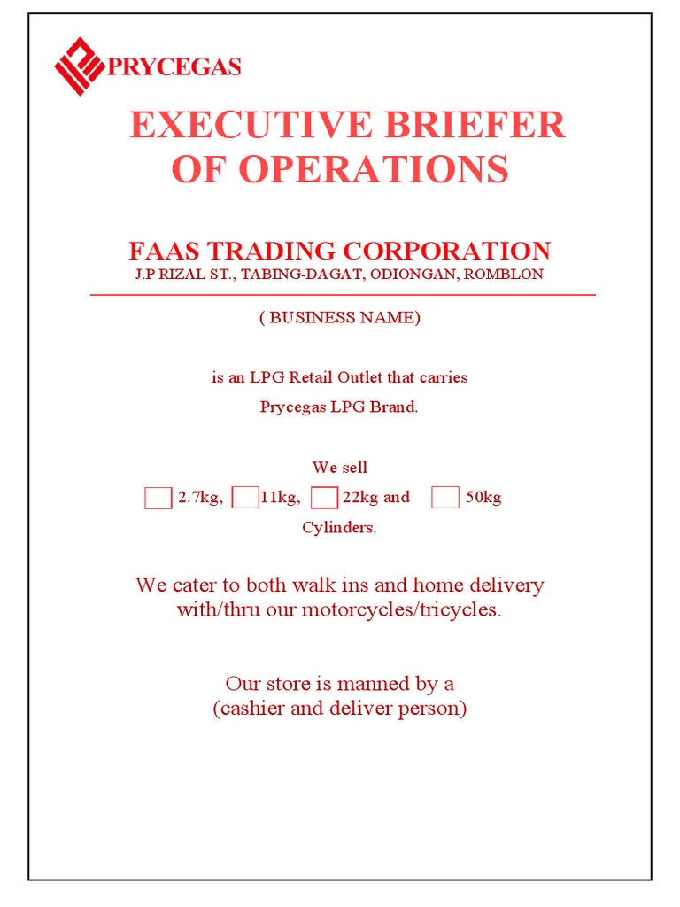 Executive Briefer | PDF