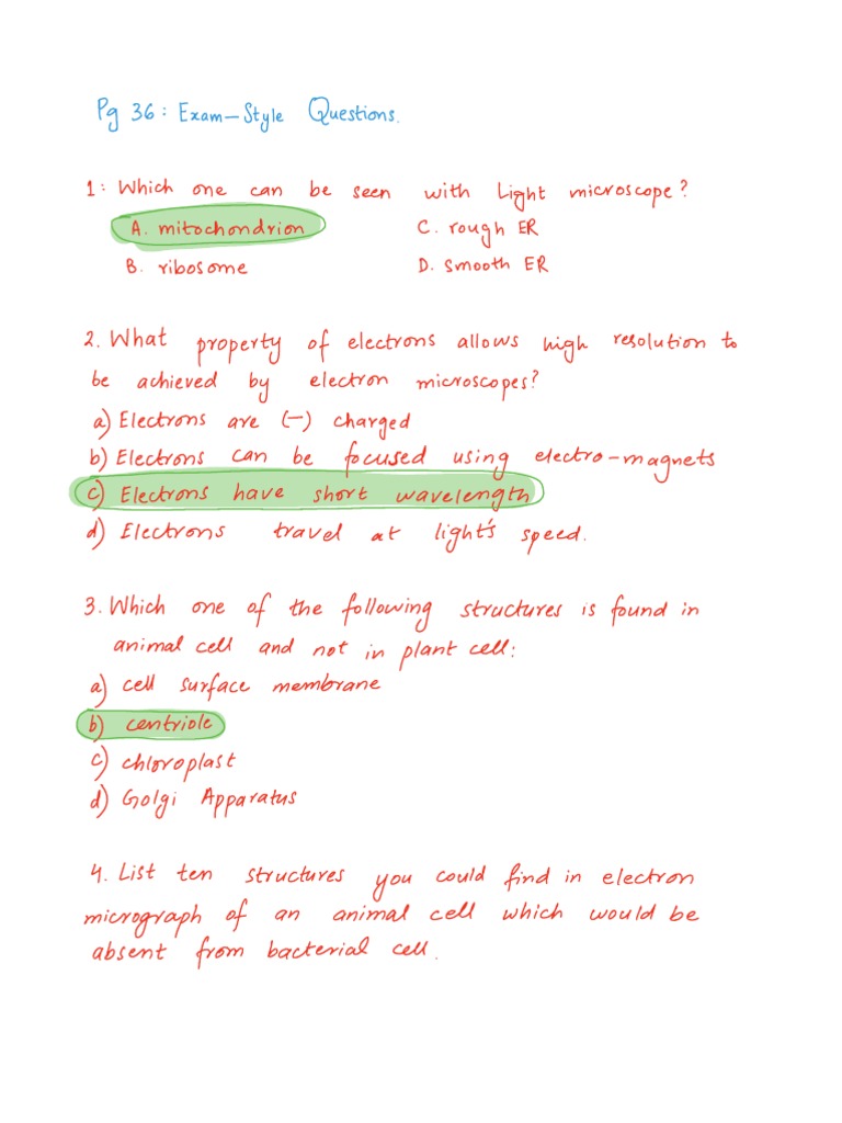 Cell Biology Exam Prep | PDF | Cell (Biology) | Endoplasmic Reticulum