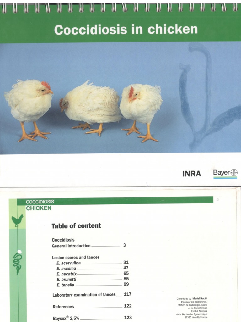 Coccidiosis in Chicken Bayer | PDF