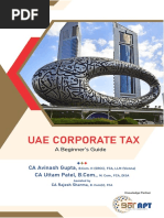 UAE Comprehensive VAT Guide | PDF | Value Added Tax | Taxes