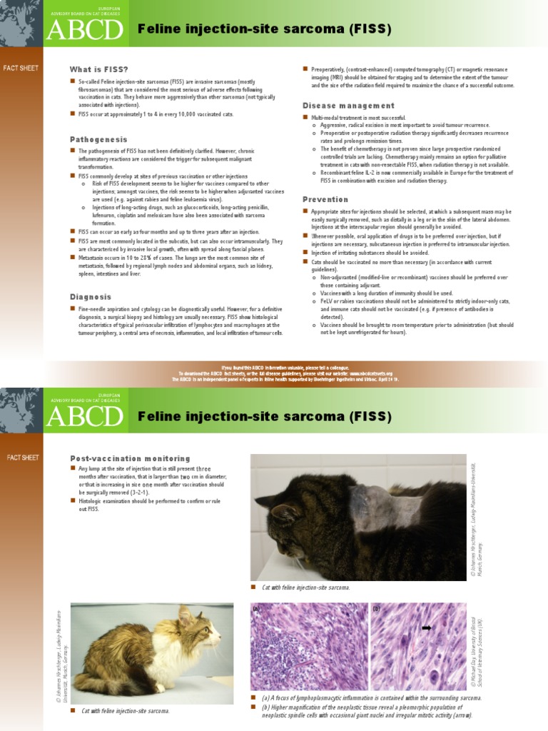 Feline Injection-Site Sarcoma (FISS) | Download Free PDF | Sarcoma ...