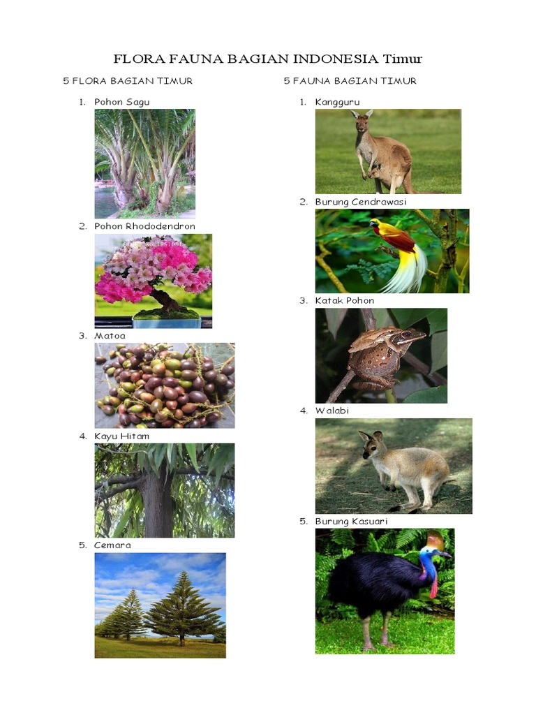 Flora dan Fauna Indonesia Timur | PDF