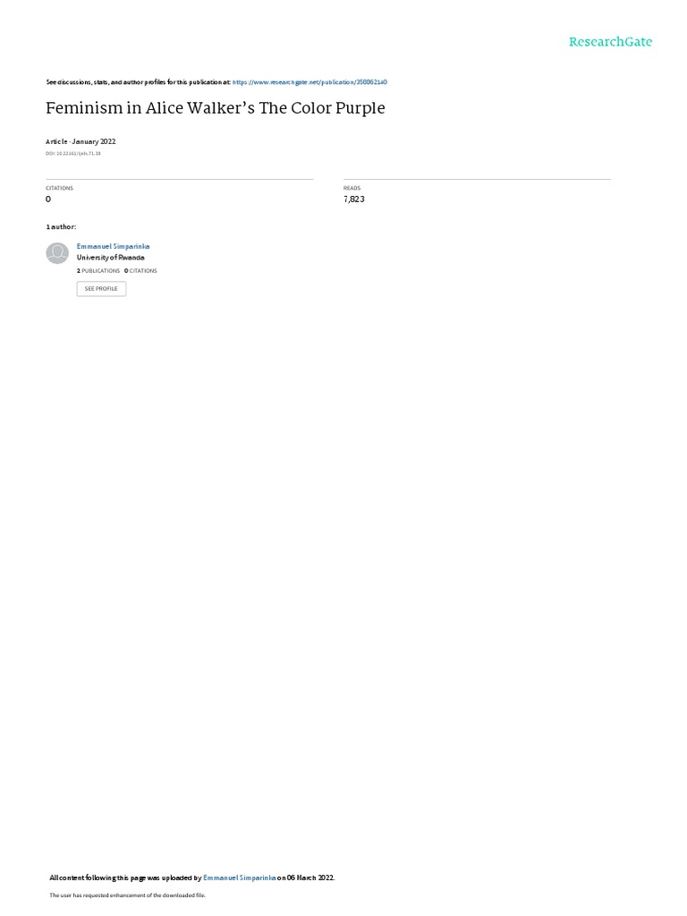 Feminism in Alice Walkers The Color Purple | PDF | Feminism | Gender ...