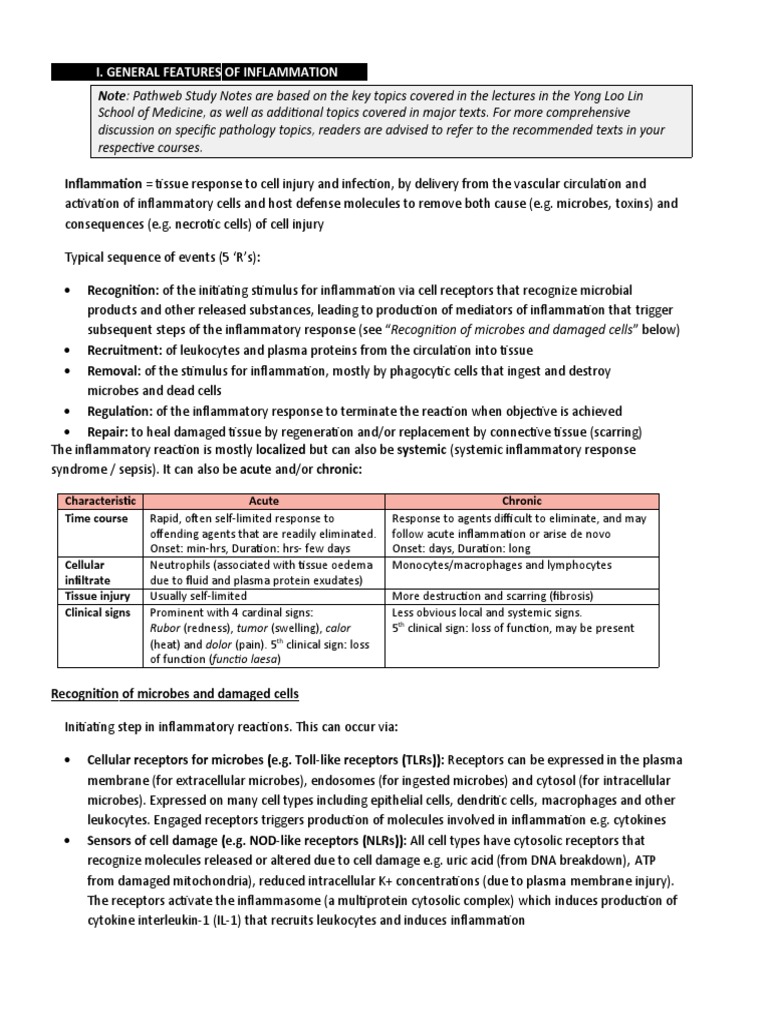 Study-Notes - Inflammation-And-Repair (1) 88 | PDF | Inflammation ...