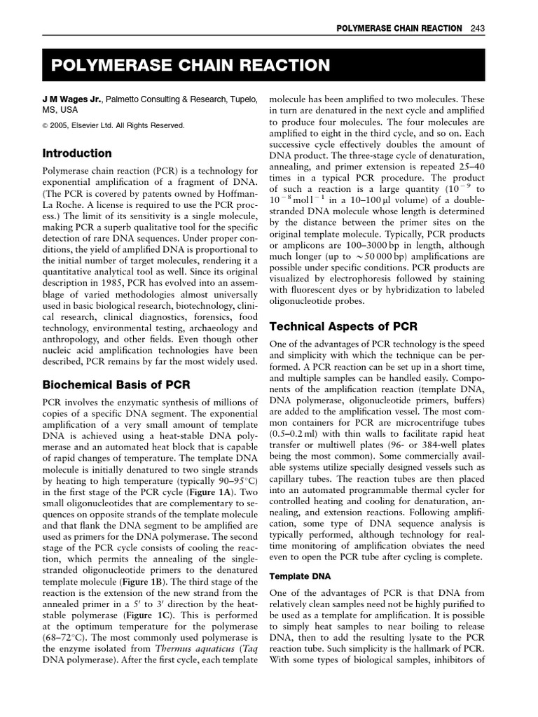 Polymerase Chain Reaction 1 | PDF | Polymerase Chain Reaction | Primer (Molecular Biology)
