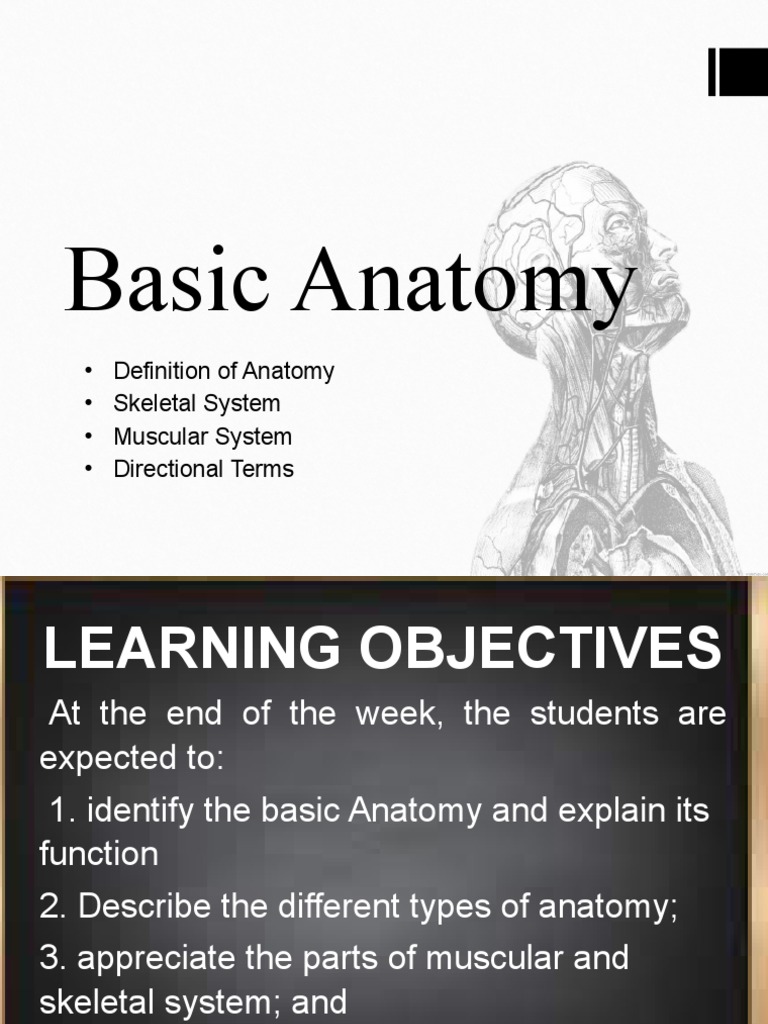 Lesson 2 Basic Anatomy and Biomechanics | PDF