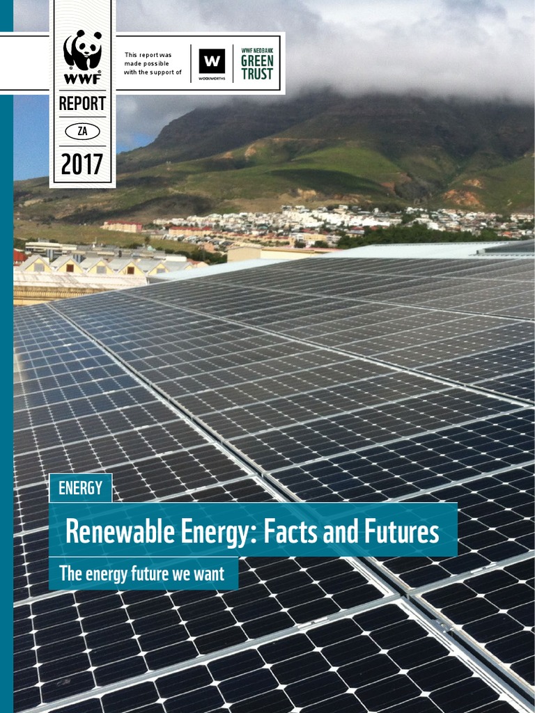 WWF - Energy Facts and Futures - Final Version | PDF