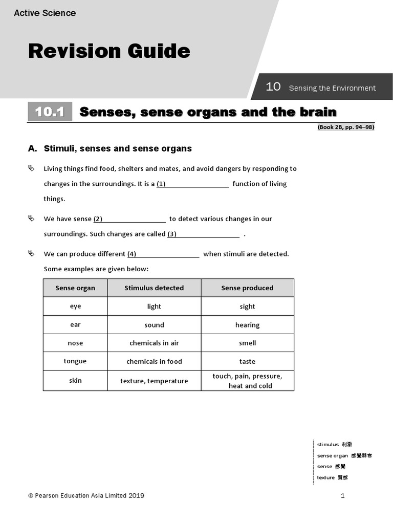 AS Ch10 RevGuide2019 Eng | PDF | Senses | Ear