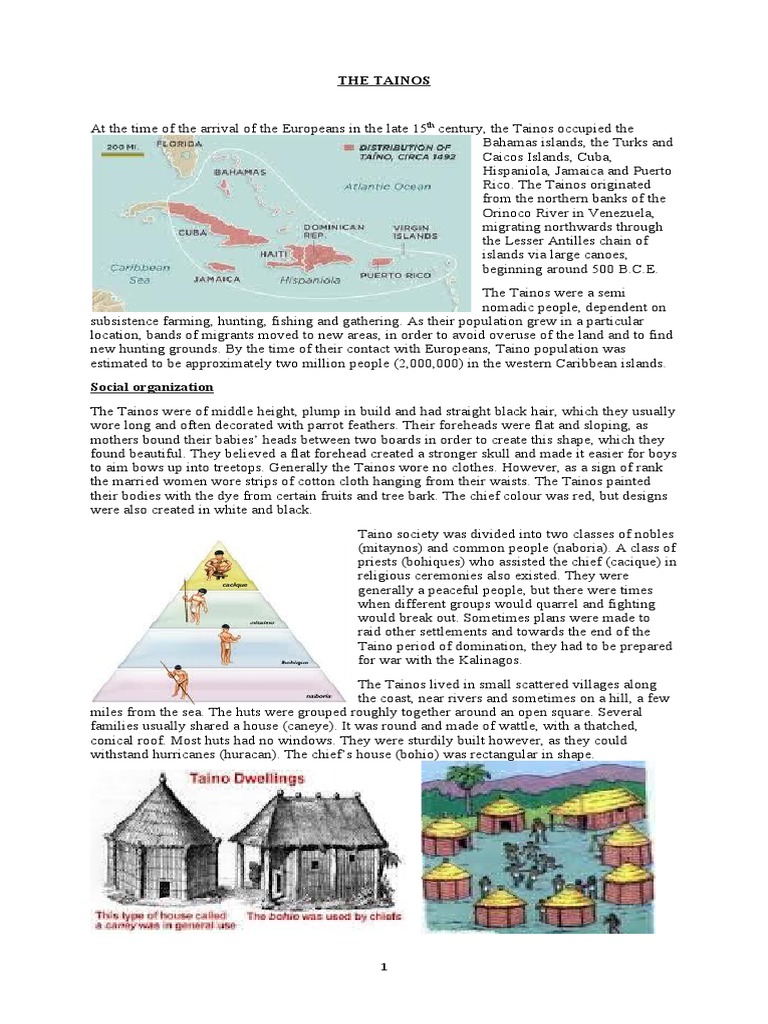 c. The Tainos | PDF | Agriculture