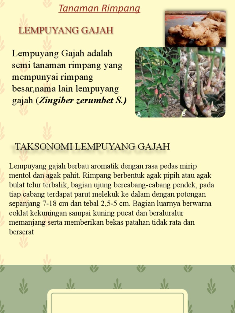 Lempuyang | PDF