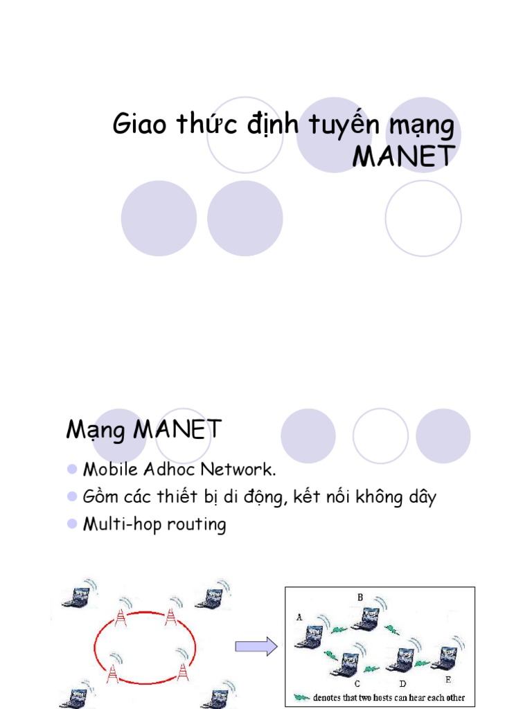 09 Manet Routing Reactive Pdf