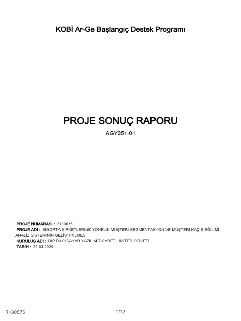 Proje Sonuc Raporu | PDF