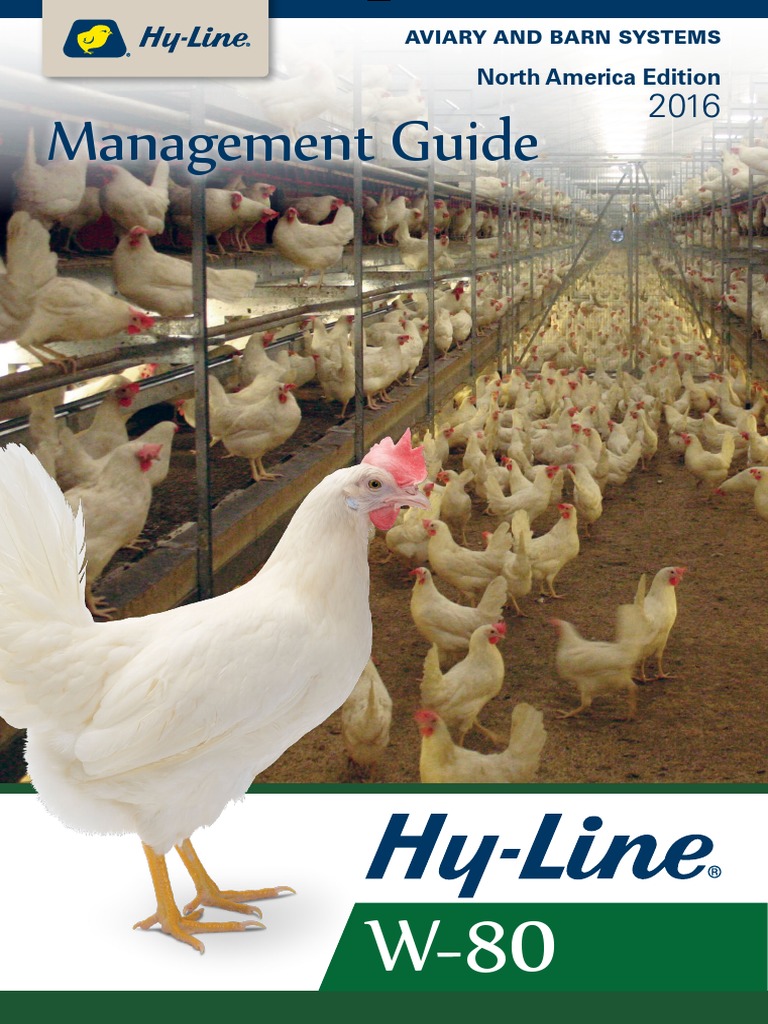 Hy-Line W-80 Management Guide | PDF | Beak | Birds