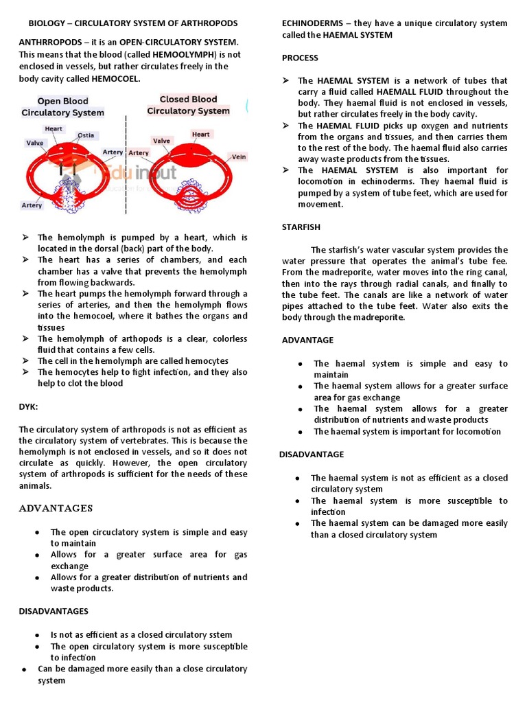 Biology Circulatory Systtem | PDF | Heart | Blood Vessel