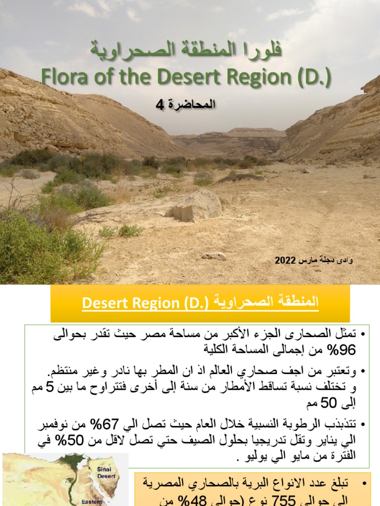 4 Flora 2022 M | PDF