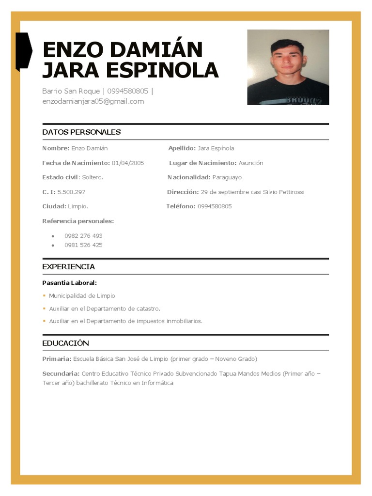 Enzo Jara CV | PDF