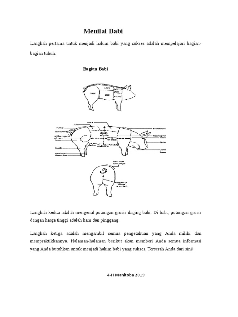 Makala Budidaya Ternak Babi Pdf