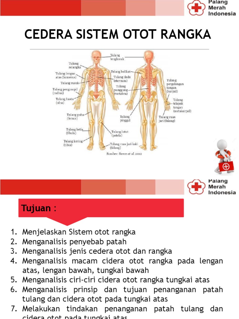 PPT Cedera Otot Rangka | PDF