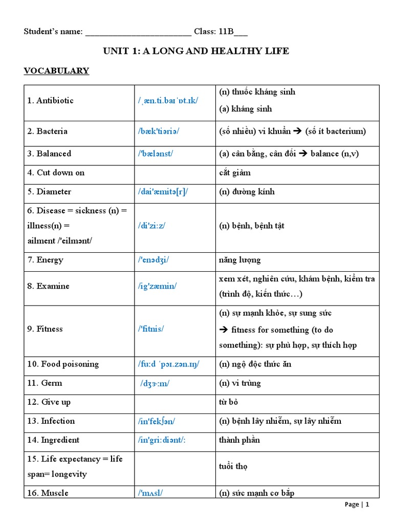 Reading Comprehension Pdf