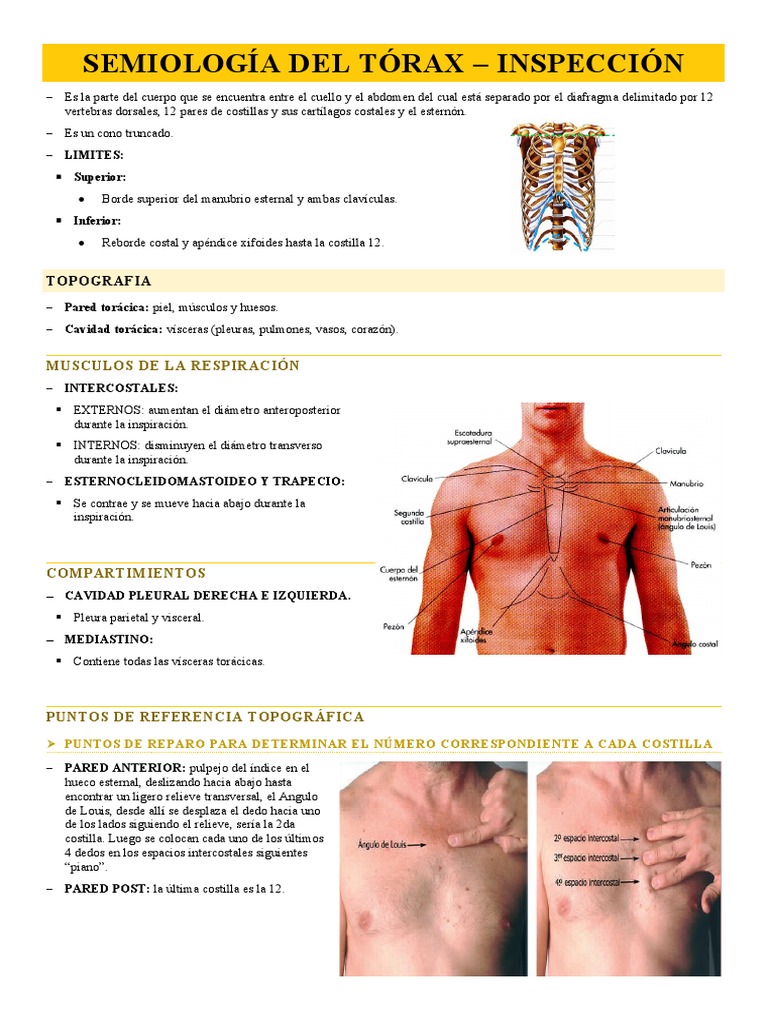 R12 - Semiología Del Tórax - Inspección | PDF