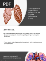Perfusión Pulmonar y Ventilación: Claves Fisiológicas | PDF | Pulmón ...