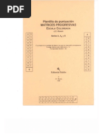 Baremo - Raven Infantil | PDF