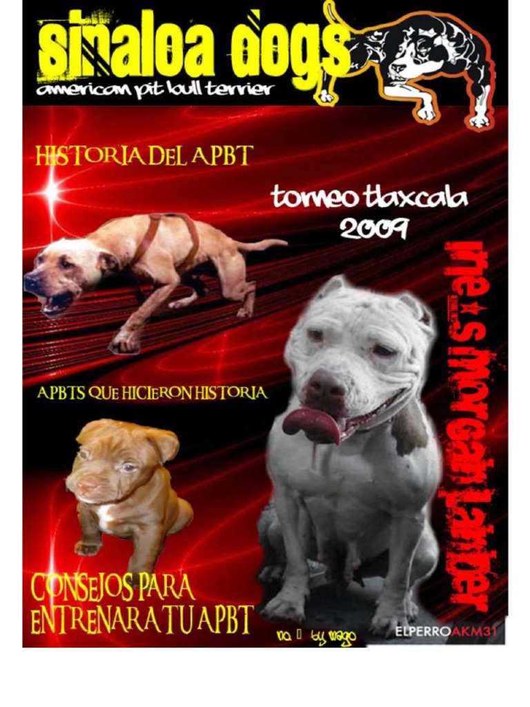 Apbt | PDF