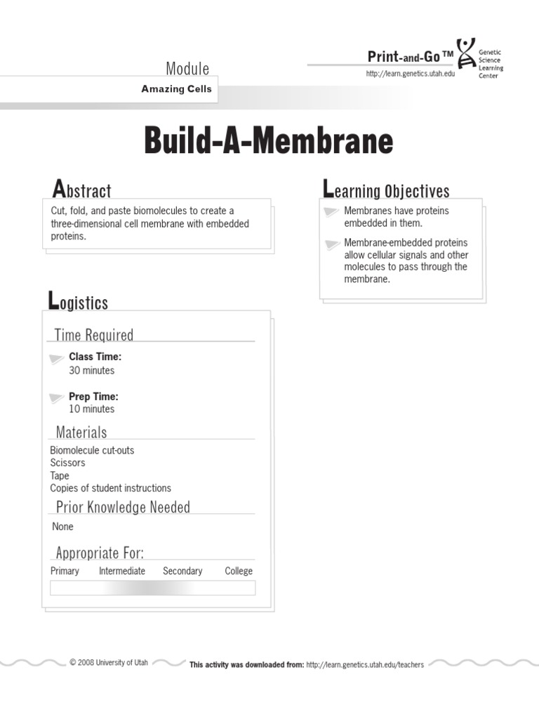 Build AMembrane | PDF | Cell Membrane | Lipid Bilayer
