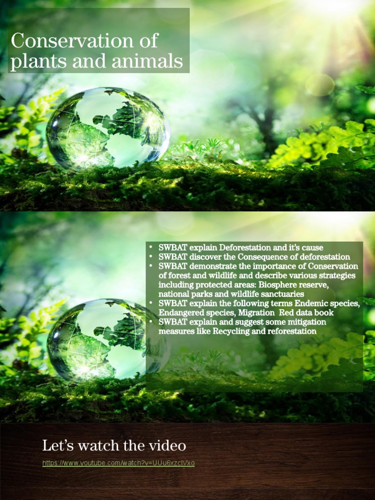 Conservation of Plants and Animals | PDF | Conservation Biology ...