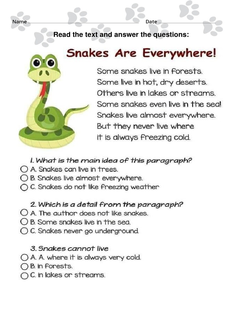 Snakes Are Everywhere! | PDF