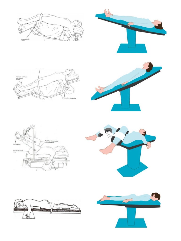 Posiciones Anatomicas | PDF