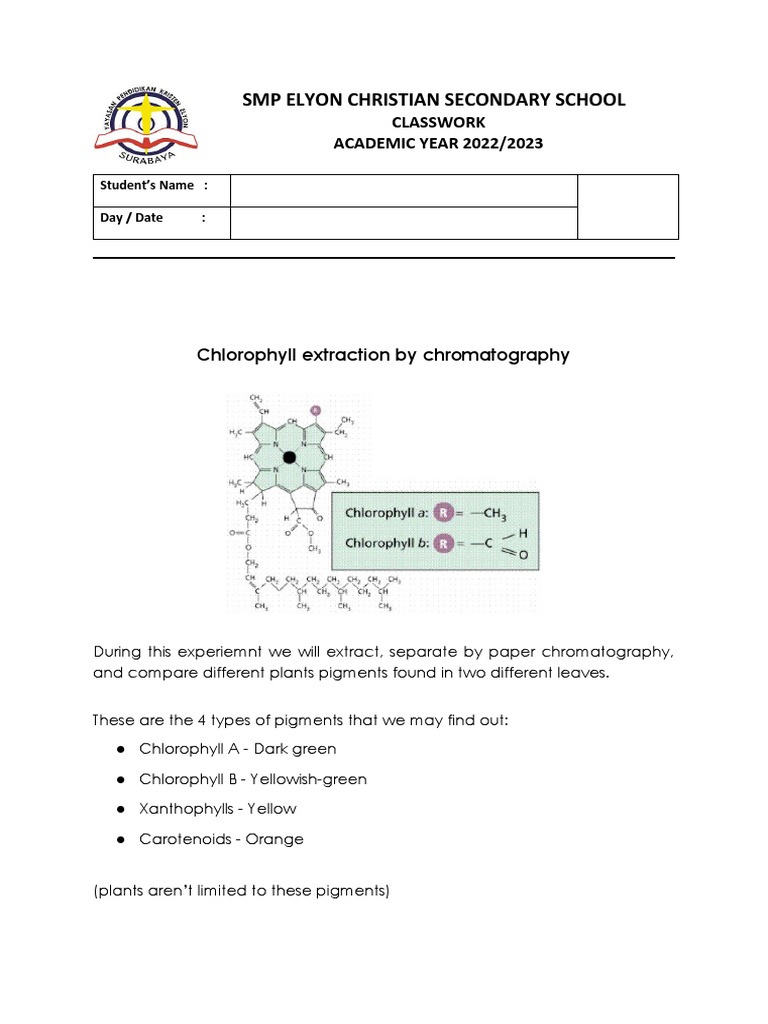 Extraction of Chlorophyll | PDF | Chromatography | Solubility