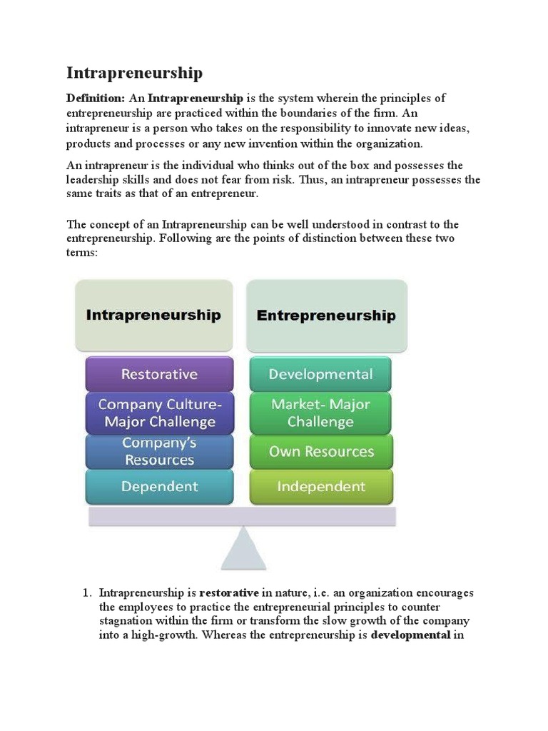Understanding Intrapreneurship Dynamics | PDF | Entrepreneurship ...