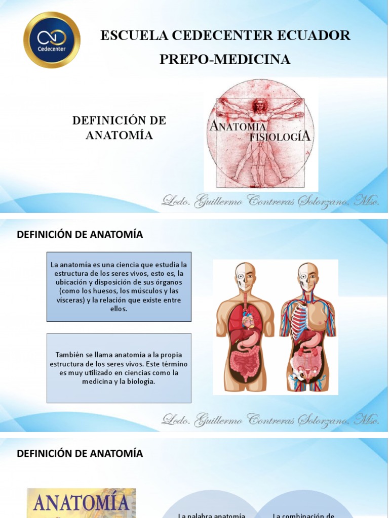 s1-t1 Definicion de Anatomia | PDF | Términos anatómicos de ubicación ...