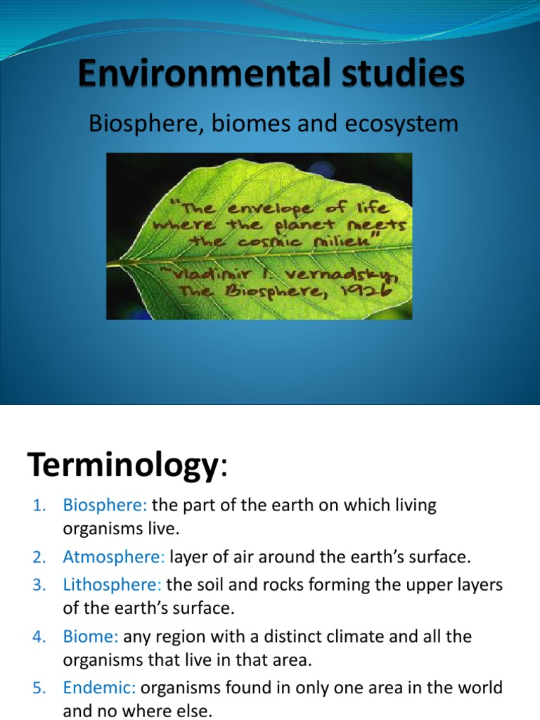 South African Biomes Guide | PDF | Earth | Wetland