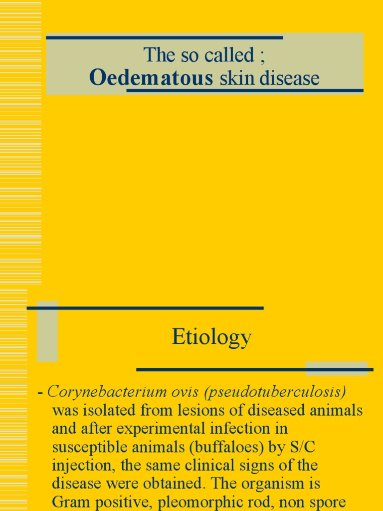 The So Called Oedematous Skin Disease | PDF | Edema | Infection