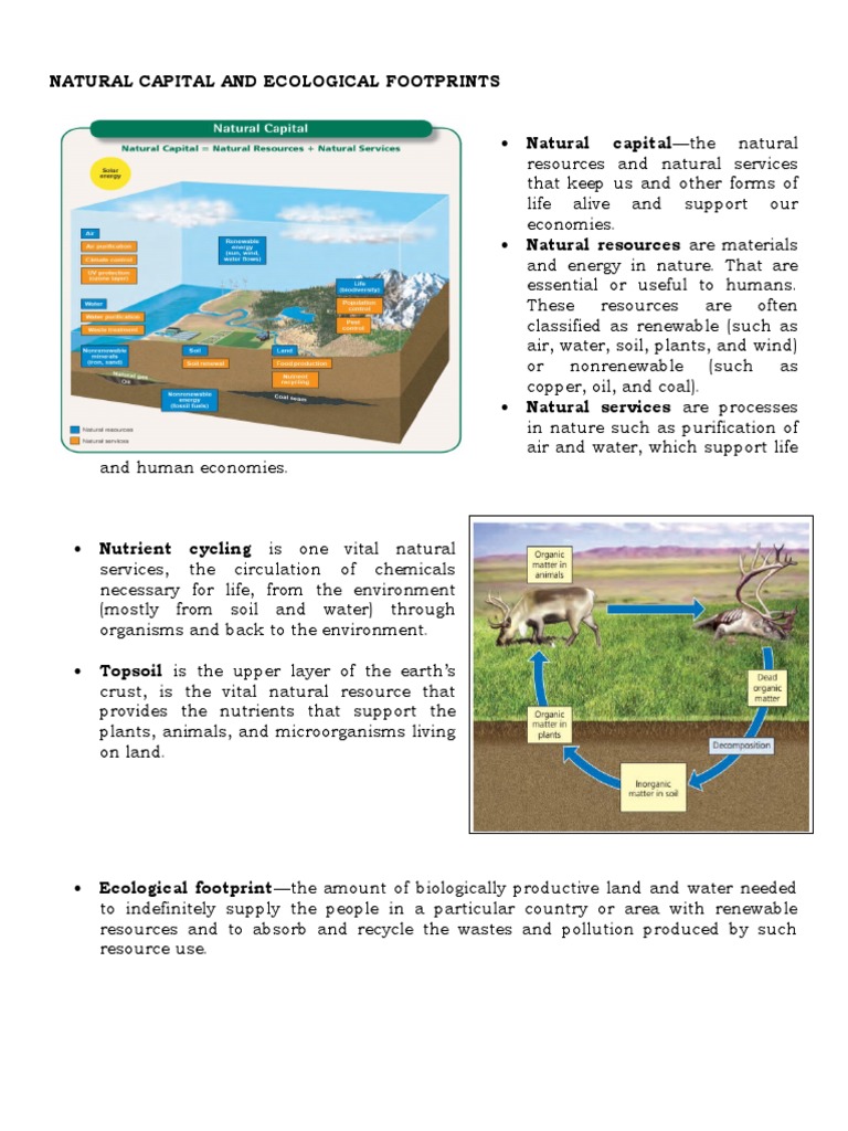 Natural Capital and Ecological Footprints | PDF