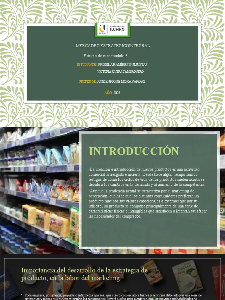 Estudio de Caso Modulo 3 | PDF | Marketing | Producto (Negocio)