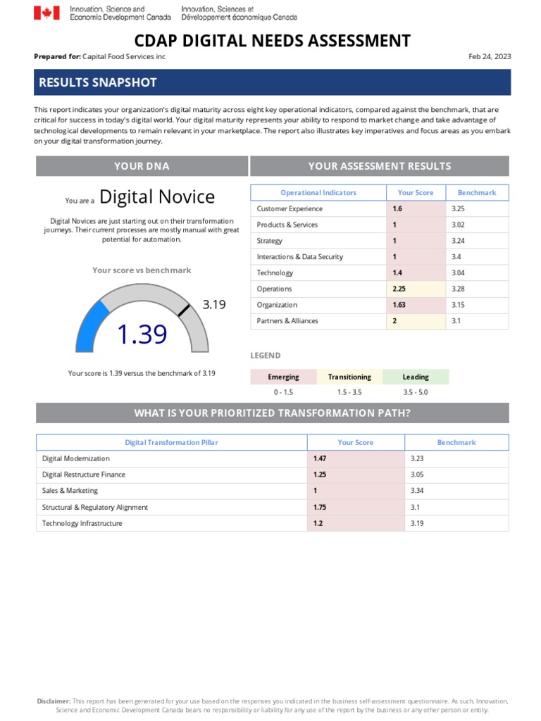 CDAP Digital Needs Assessment | PDF | Analytics | Digital Marketing CDAP Digital Needs Assessment | PDF | Analytics | Digital Marketing