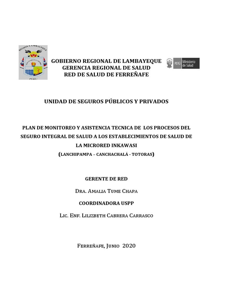 Plan de Monitoreo Uspp - Microred Inkawasi - RF | PDF | Gestión de ...